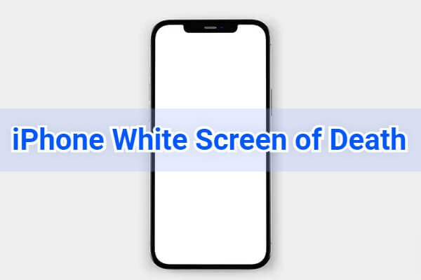 5 Ways To Fix IPhone White Screen Of Death No Data Loss 5 Ways To Fix IPhone White Screen Of Death No Data Loss
