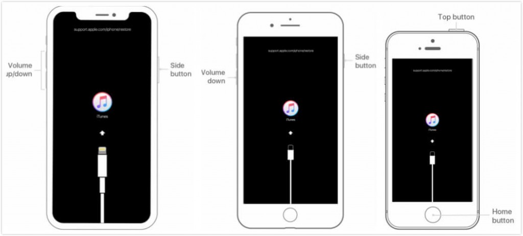 How Do I Know If My Iphone Is Charging After It Died 3 when Your Iphone Is Fully Charged Feel 