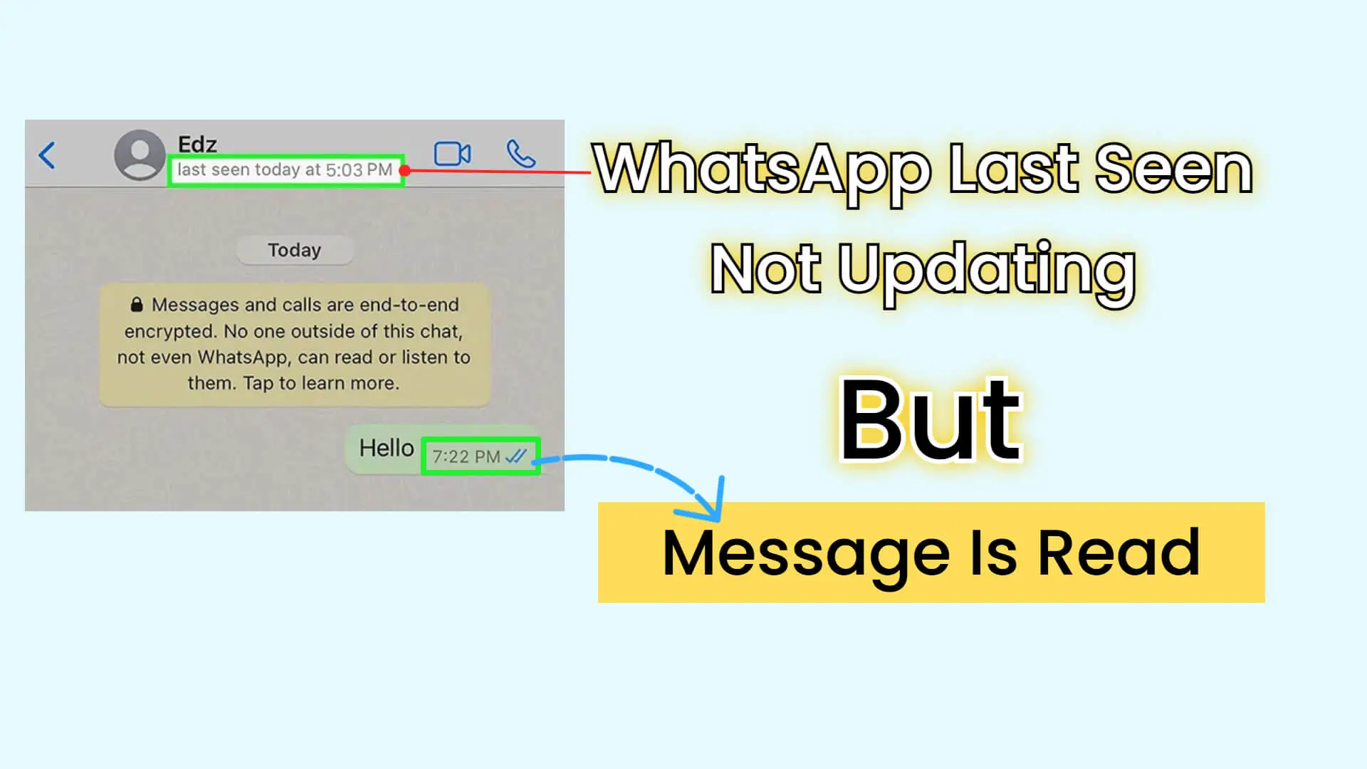 Why WhatsApp Last Seen Not Updating But Messages Read? (Solved)