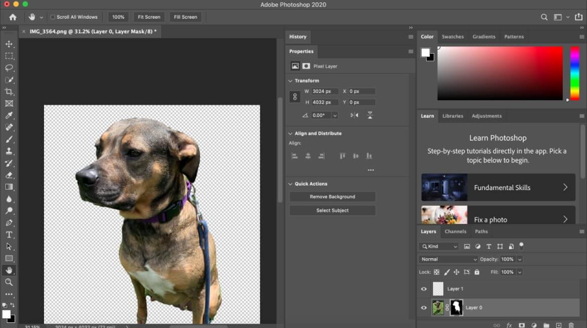 Make Image Transparent Background Photoshop Paint Illustrator 2023 