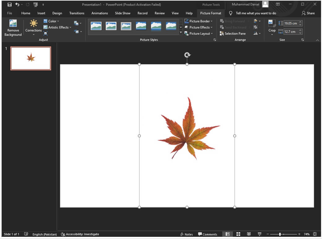 Remove Image Backgrounds Without Photoshop 2022 