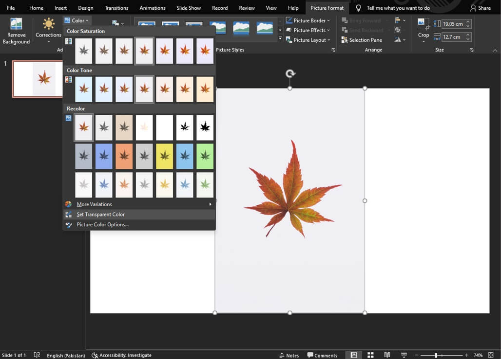 Remove Image Backgrounds Without Photoshop 2022 